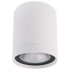 Column Downlight Ceiling Lighting - Cirillo Lighting and Ceramics